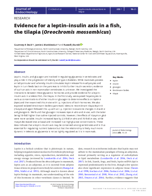 (PDF) Evidence for a leptin–insulin axis in a fish, the tilapia ...