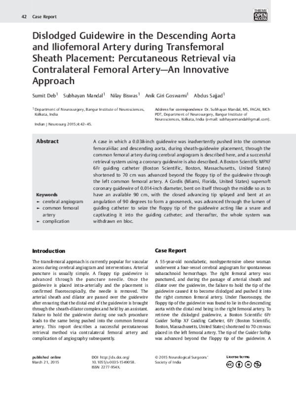 (PDF) Dislodged Guidewire in the Descending Aorta and Iliofemoral ...