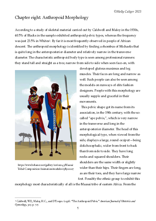 (PDF) Anthropoid Morphology (book excerpt)