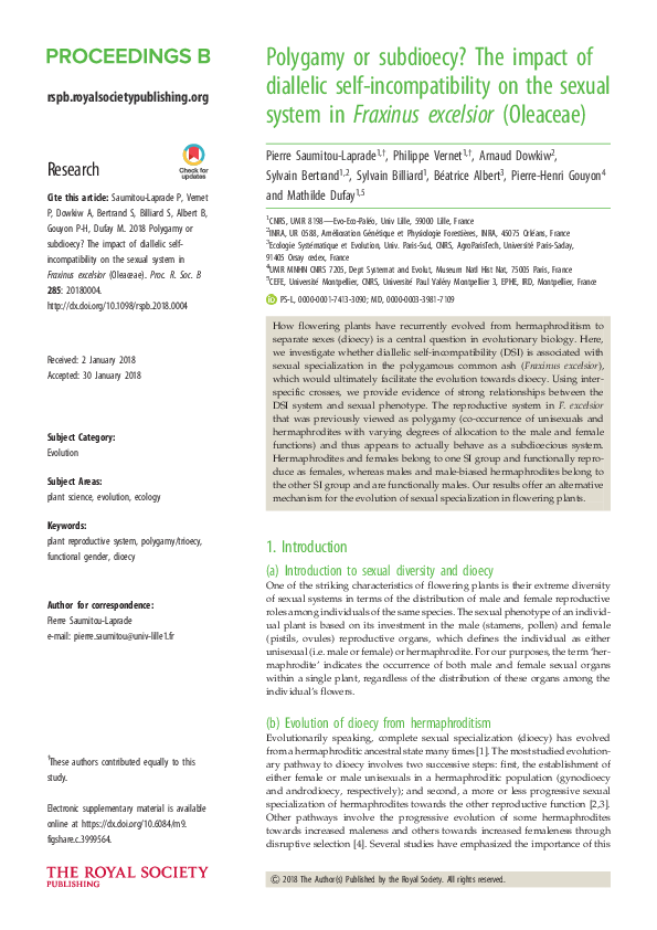 (PDF) Polygamy or subdioecy? The impact of diallelic self ...