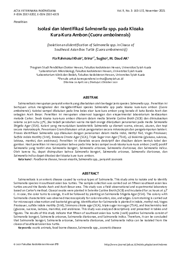 (PDF) Isolasi dan Identifikasi Salmonella spp. pada Kloaka Kura-Kura ...