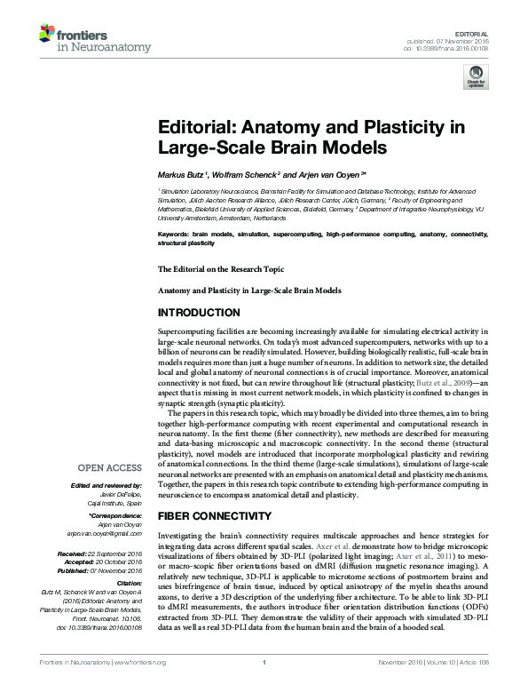 (PDF) Editorial: Anatomy and Plasticity in Large-Scale Brain Models