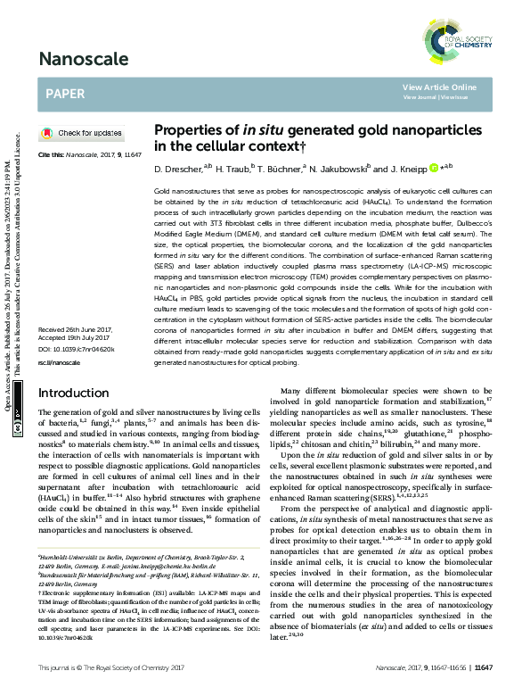 (PDF) Properties of in situ generated gold nanoparticles in the ...