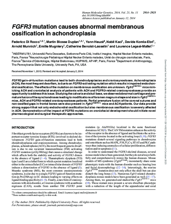 (PDF) FGFR3 mutation causes abnormal membranous ossification in ...