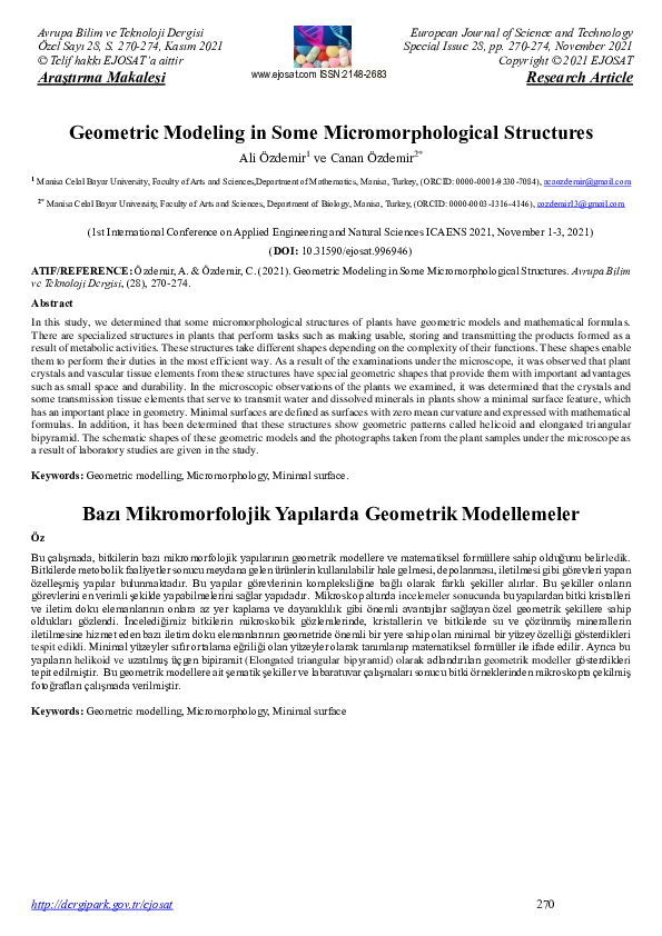 (PDF) Geometric Modeling in Some Micromorphological Structures