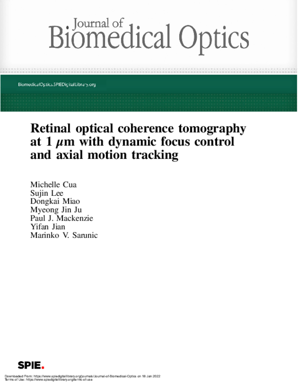 (PDF) Retinal optical coherence tomography at 1 μ m with dynamic focus ...