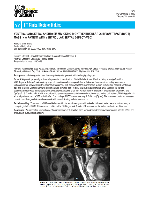 (PDF) Ventricular Septal Aneurysm Mimicking Right Ventricular Outflow ...