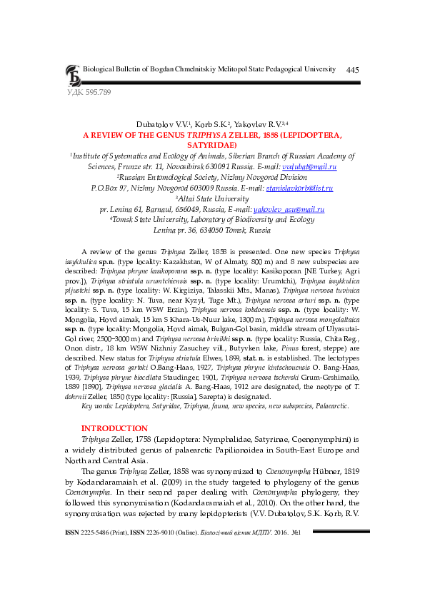 (PDF) A Review of the Genus Triphysa Zeller, 1858 (Lepidoptera, Satyridae)