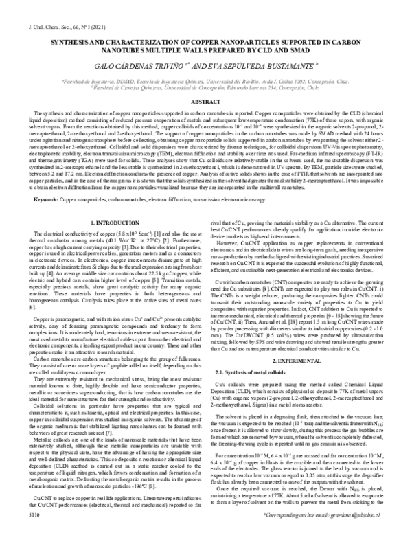 (PDF) Synthesis and Characterization of Copper Nanoparticles Supported in Carbon Nanotubes ...