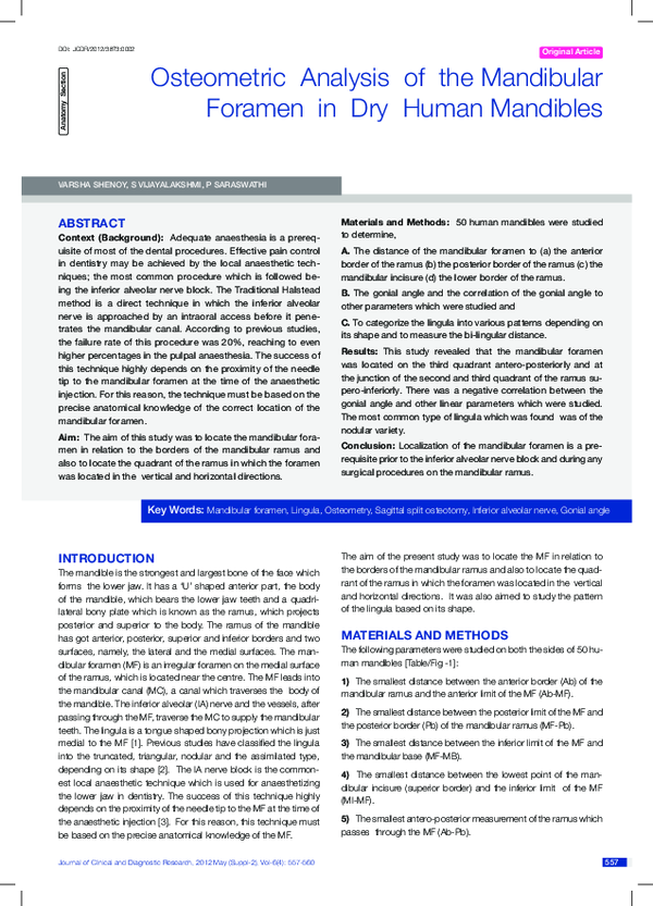 (PDF) Osteometric Analysis of the Mandibular Foramen in Dry Human Mandibles