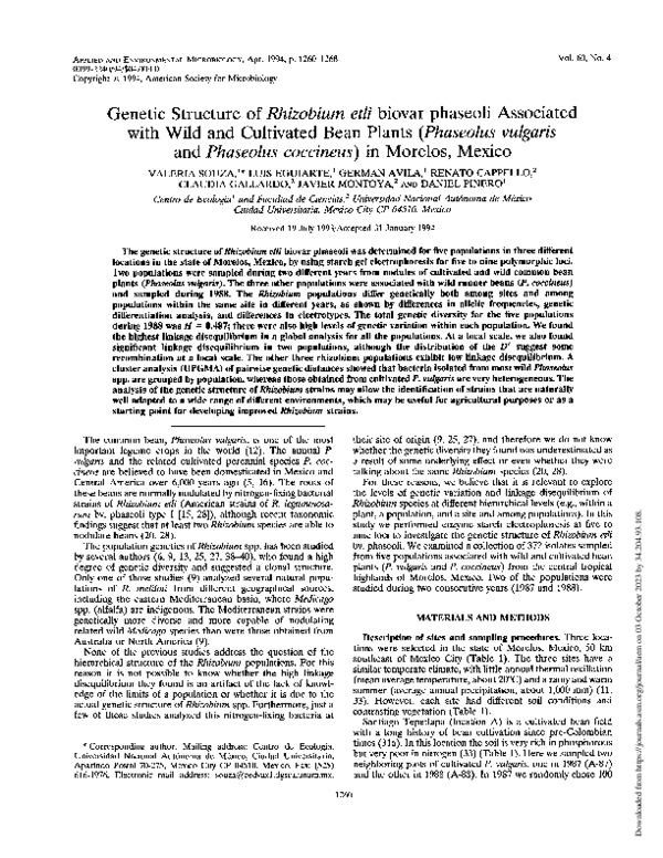 (PDF) Genetic Structure of Rhizobium etli biovar phaseoli Associated ...