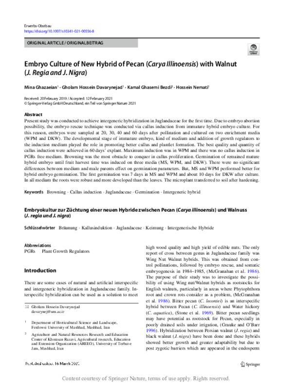 (PDF) Embryo Culture of New Hybrid of Pecan (Carya Illinoensis) with ...