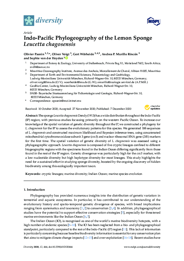 (PDF) Indo-Pacific Phylogeography of the Lemon Sponge Leucetta chagosensis