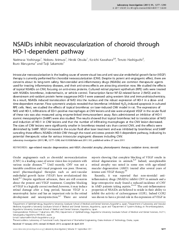 (PDF) NSAIDs inhibit neovascularization of choroid through HO-1 ...