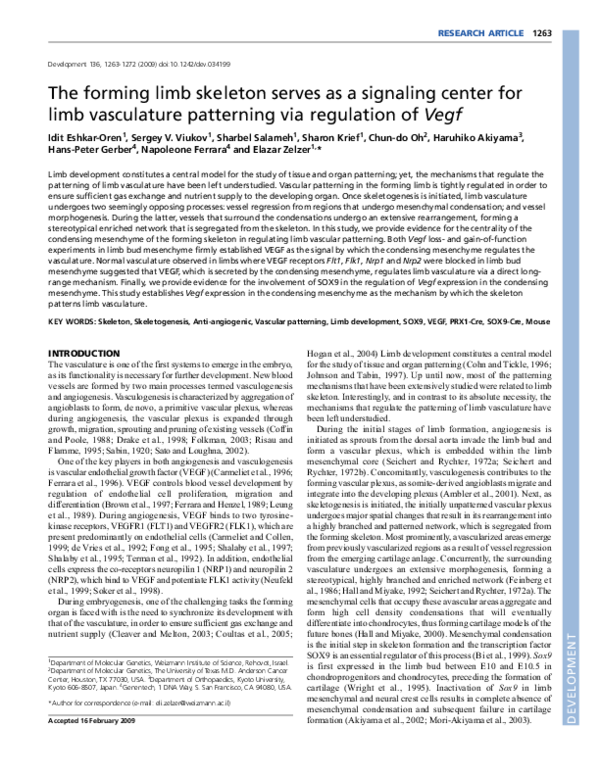 (PDF) The forming limb skeleton serves as a signaling center for limb ...