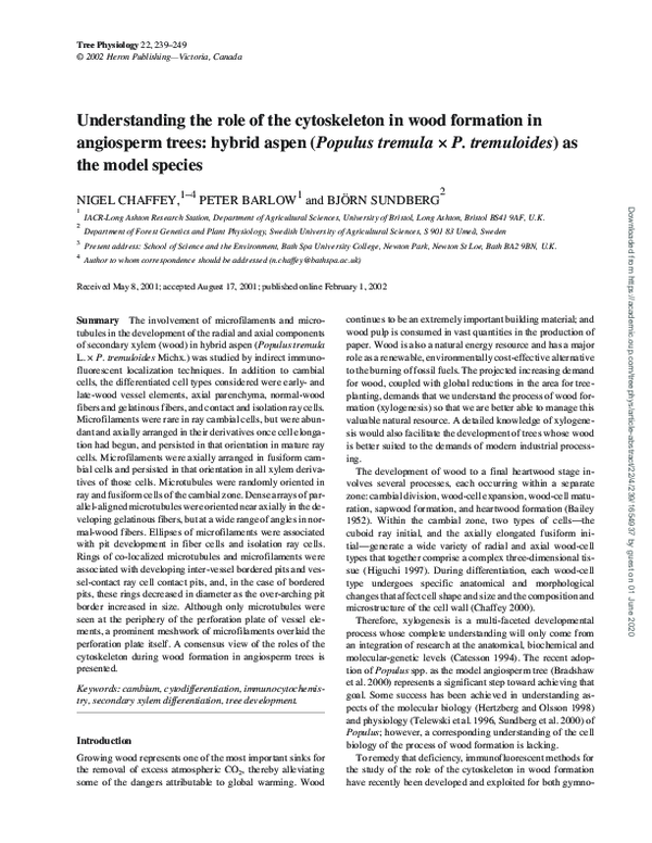 (PDF) Understanding the role of the cytoskeleton in wood formation in ...