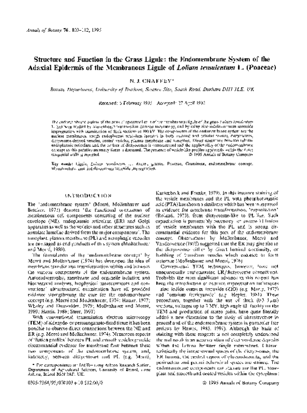 (PDF) Structure and Function in the Grass Ligule: the Endomembrane ...
