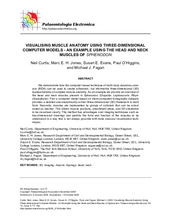 (PDF) Visualising Muscle Anatomy Using Three-Dimensional Computer Models - an Example Using the ...