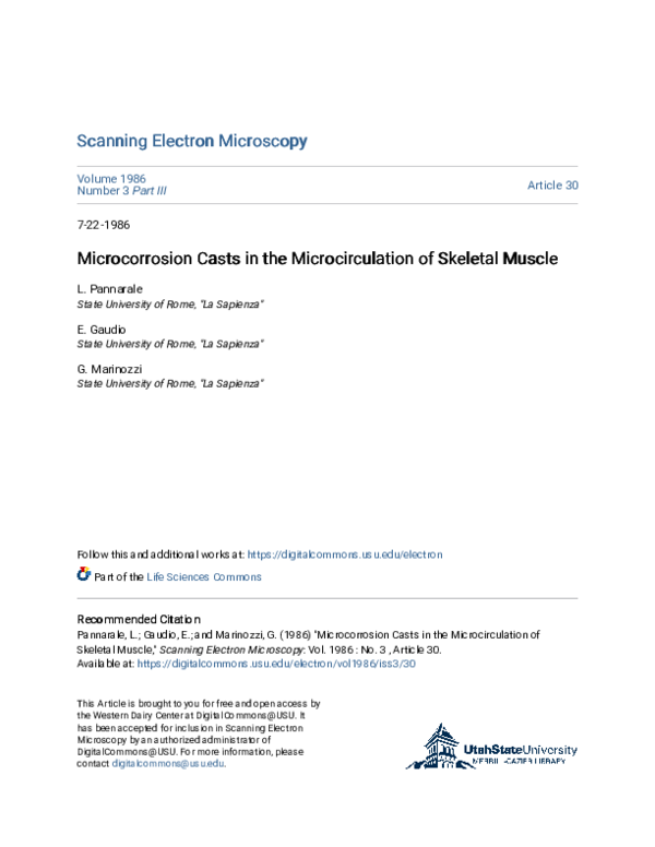 (PDF) Microcorrosion casts in the microcirculation of skeletal muscle