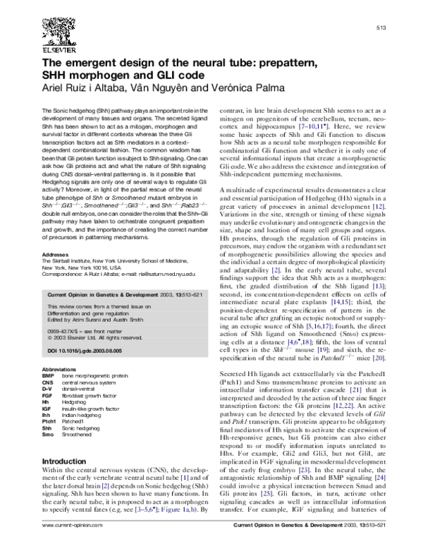 (PDF) The emergent design of the neural tube: prepattern, SHH morphogen ...