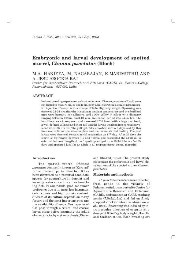 (PDF) Embryonic and larval development of spotted murrel, Channa ...