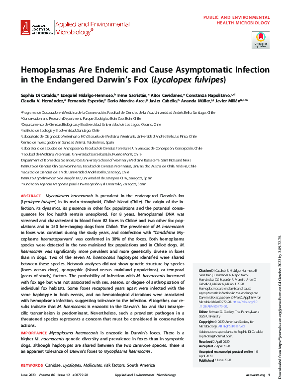 (PDF) Hemoplasmas Are Endemic and Cause Asymptomatic Infection in the ...