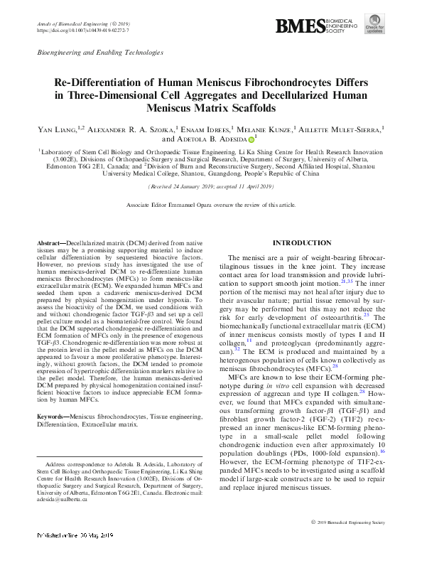 (PDF) Re-Differentiation of Human Meniscus Fibrochondrocytes Differs in ...