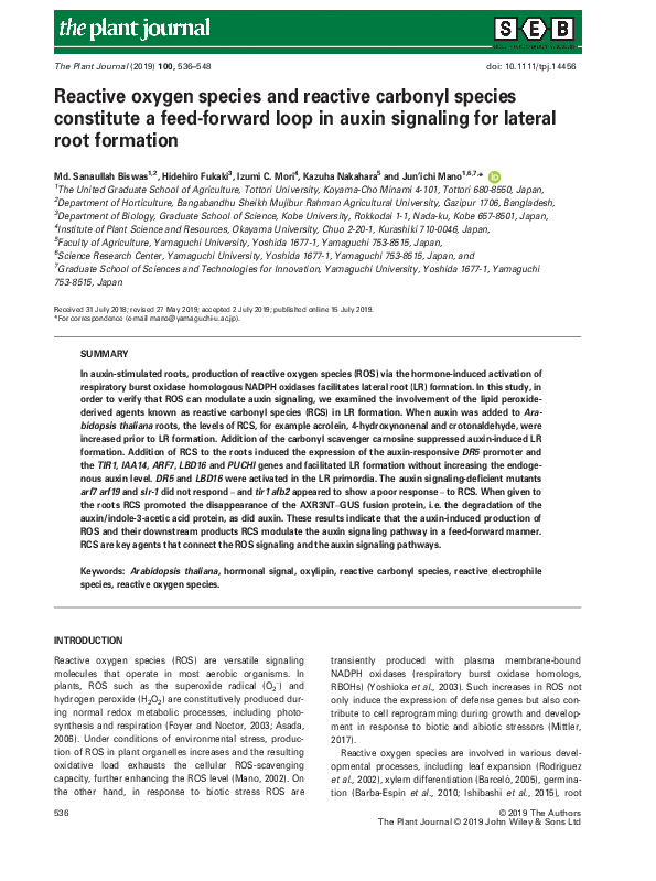 (PDF) Reactive oxygen species and reactive carbonyl species constitute ...