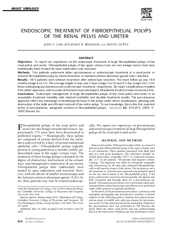 (PDF) Endoscopic treatment of fibroepithelial polyps of the renal ...