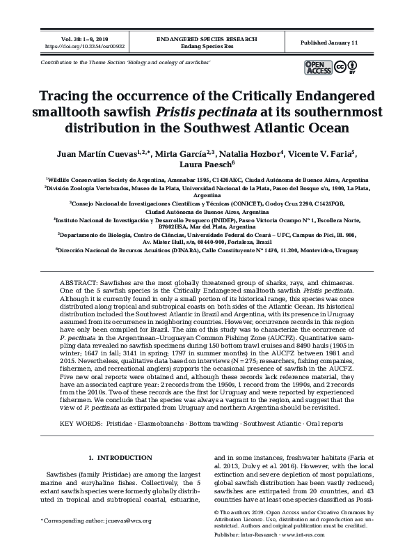 (PDF) Tracing the occurrence of the Critically Endangered smalltooth ...