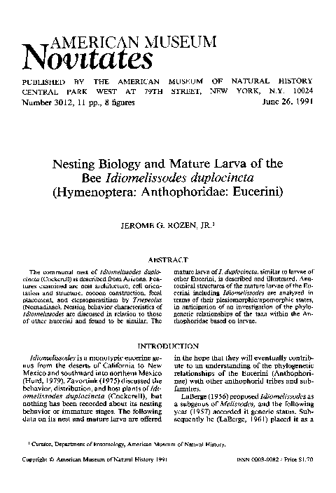 (PDF) Nesting biology and mature larva of the bee Idiomelissodes ...