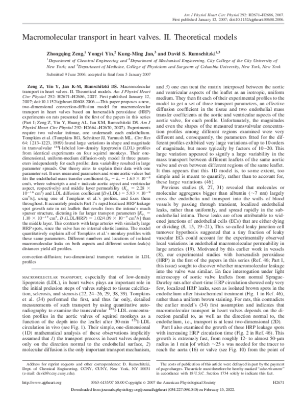 (PDF) Macromolecular transport in heart valves. II. Theoretical models