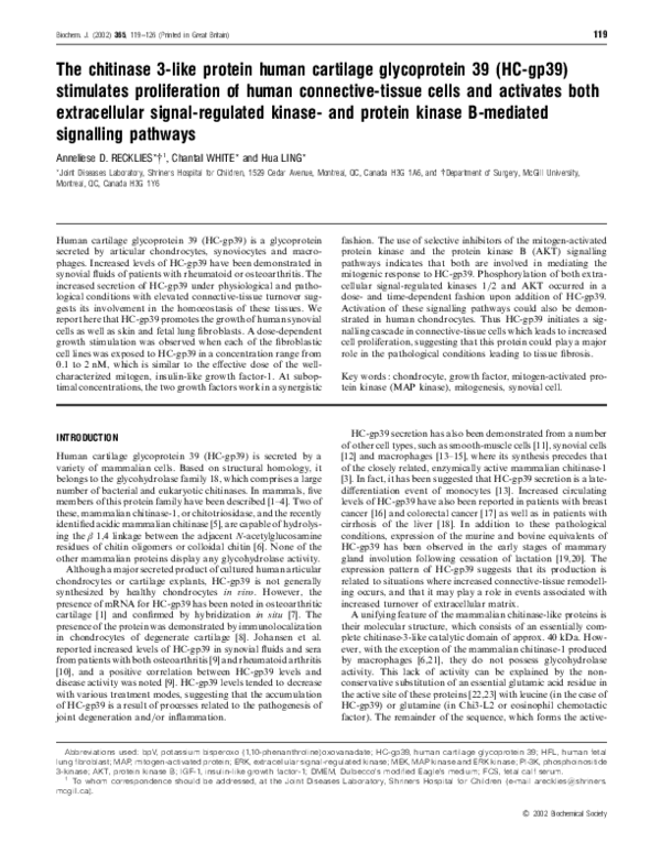 (PDF) The chitinase 3-like protein human cartilage glycoprotein 39 (HC ...