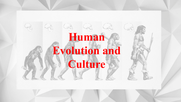 (PPT) . HUMAN EVOLUTION AND CULTURE