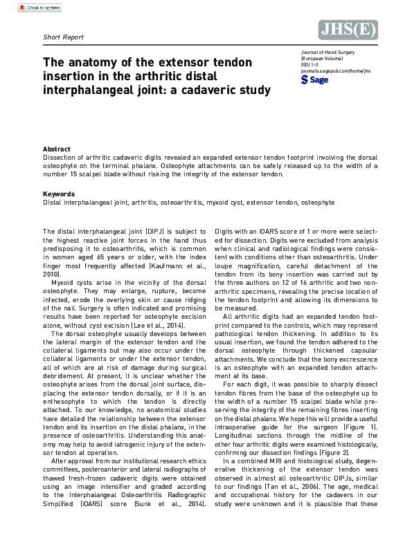 (PDF) The anatomy of the extensor tendon insertion in the arthritic ...
