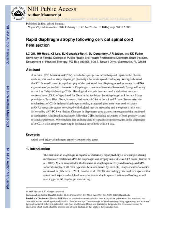 (PDF) Rapid diaphragm atrophy following cervical spinal cord ...