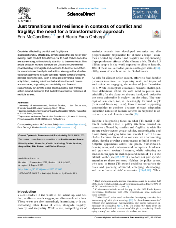 (PDF) COSUST Just Transitions