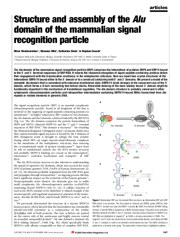 (PDF) Structure and assembly of the Alu domain of the mammalian signal ...