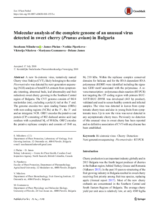 (PDF) Molecular analysis of the complete genome of an unusual virus detected in sweet cherry ...