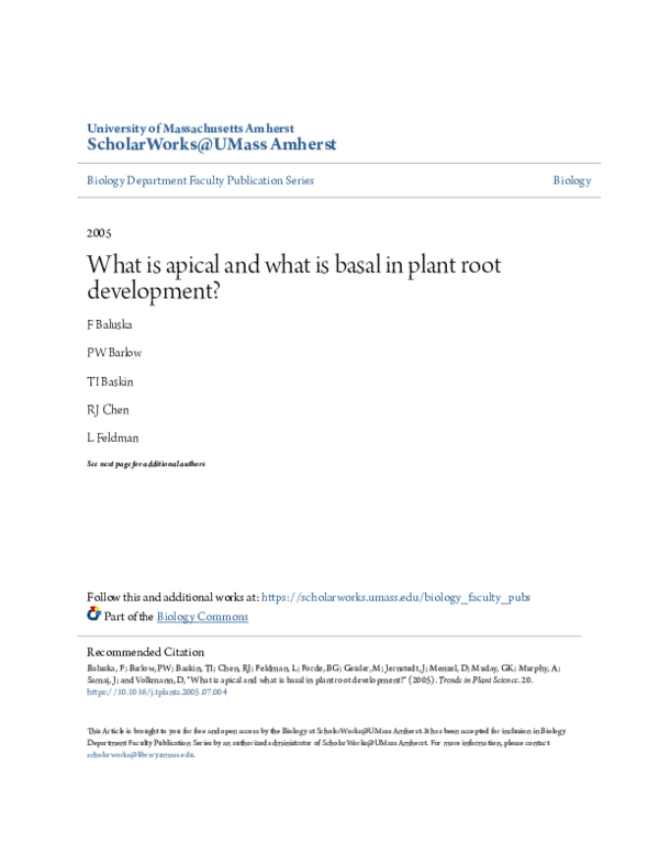 (PDF) What is apical and what is basal in plant root development?