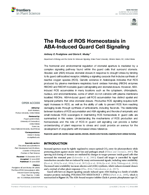 (PDF) The Role of ROS Homeostasis in ABA-Induced Guard Cell Signaling ...