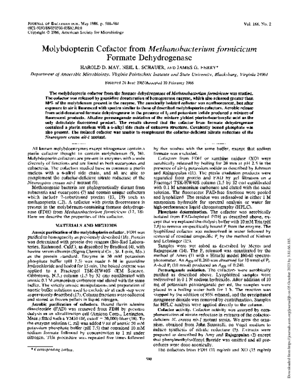 (PDF) Molybdopterin cofactor from Methanobacterium formicicum formate ...