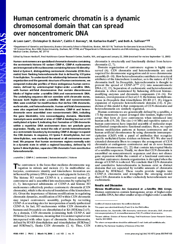 Pdf Human Centromeric Chromatin Is A Dynamic Chromosomal Domain That Can Spread Over