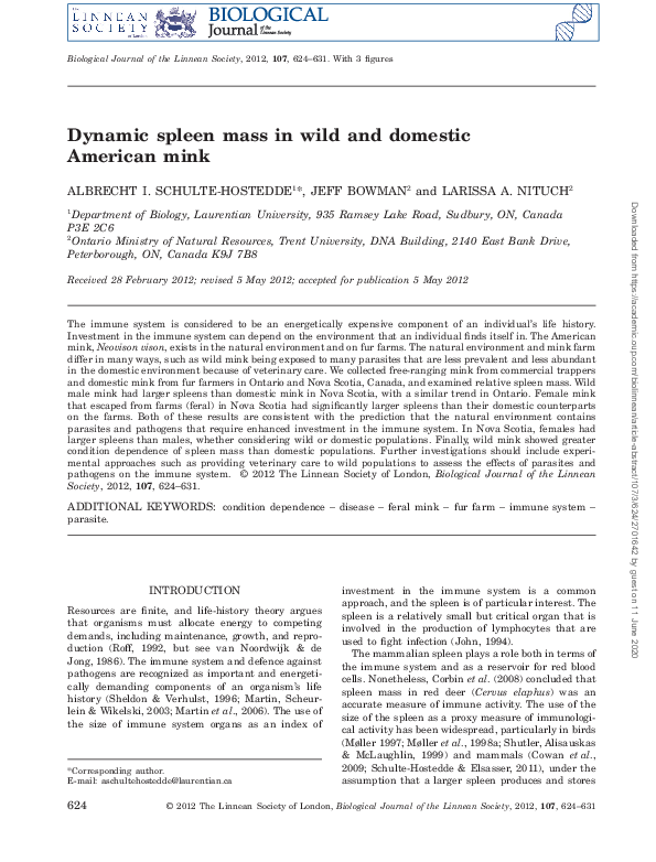 (PDF) Dynamic spleen mass in wild and domestic American mink