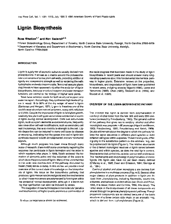 (PDF) Lignin Biosynthesis