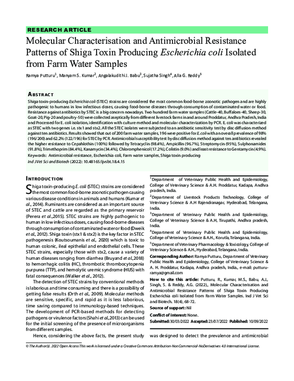 (PDF) Molecular Characterisation and Antimicrobial Resistance Patterns ...