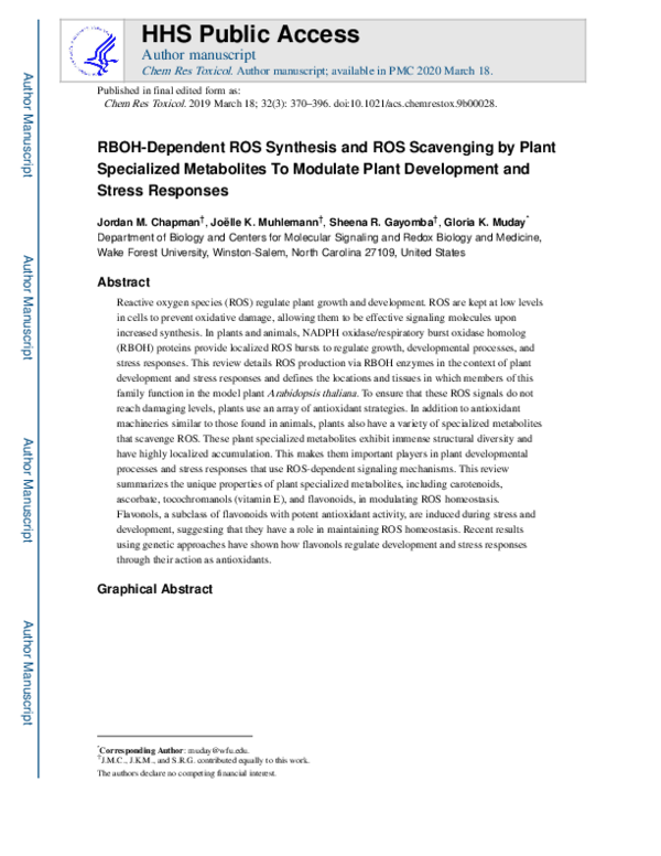RBOH-Dependent ROS Synthesis and ROS Scavenging by Plant Specialized ...
