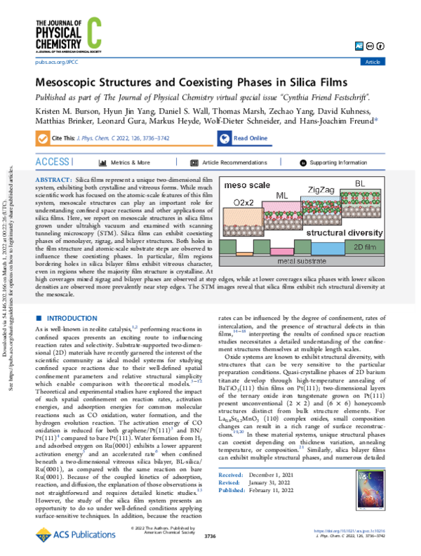 (PDF) Mesoscopic Structures and Coexisting Phases in Silica Films