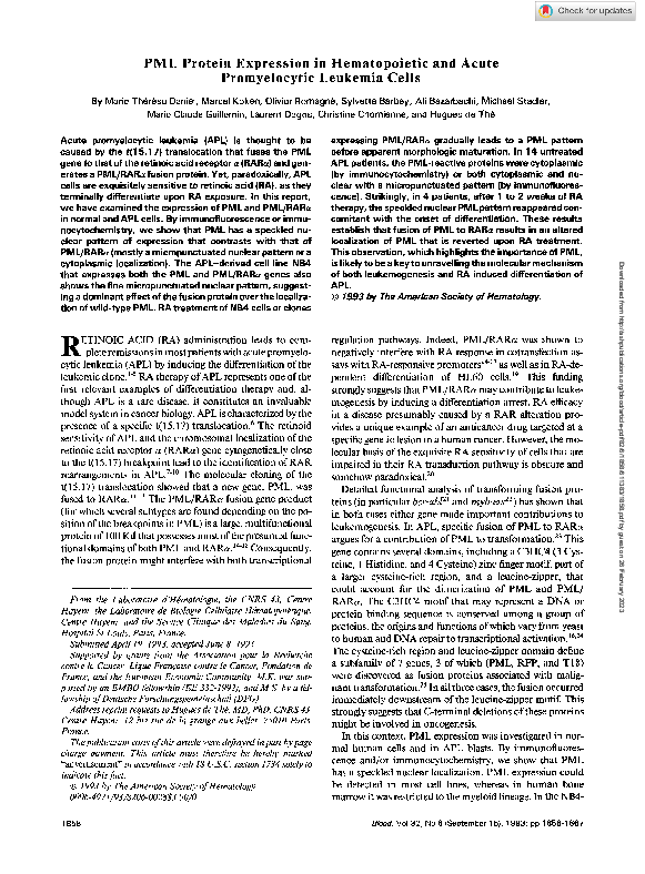 (PDF) PML protein expression in hematopoietic and acute promyelocytic leukemia cells