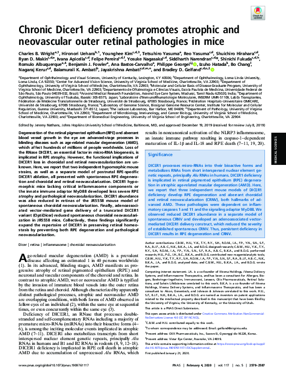(PDF) Chronic Dicer1 deficiency promotes atrophic and neovascular outer ...
